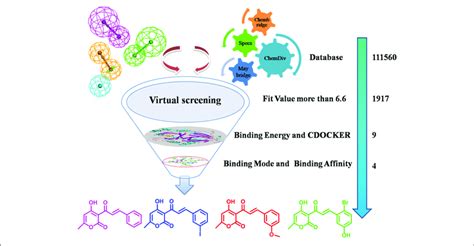 The Screening Workflow That Was Applied To Discern Novel HPPD Download Scientific Diagram