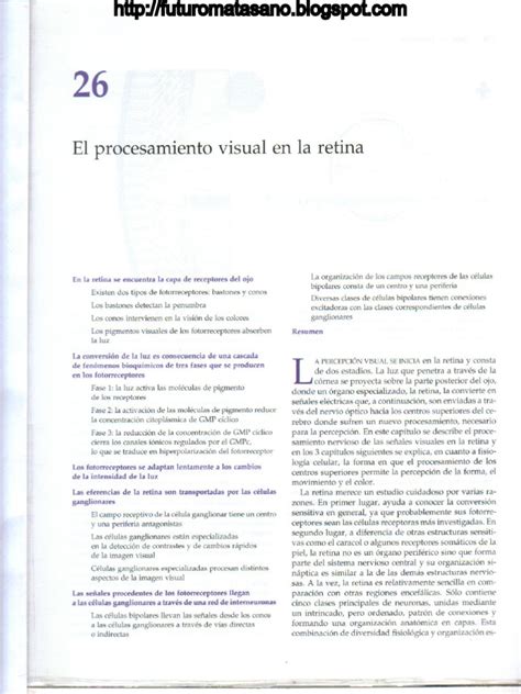 Capitulo 26 Procesamiento Visual De La Retina Pdf