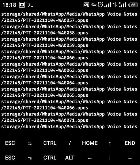 Fzf Not Listing Files In Storage Directory In Termux Home · Issue 2671 · Junegunnfzf · Github