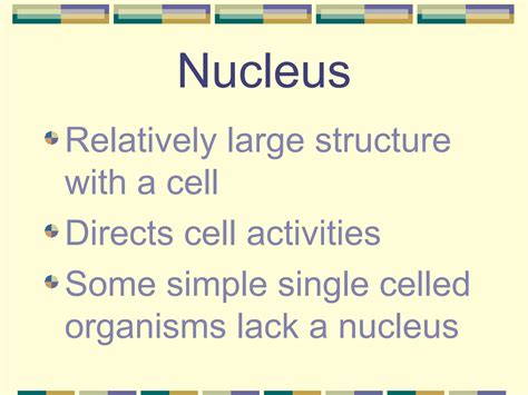 Basic Cell Structure Ppt Biological Sciences Science