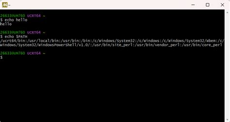 在 Windows 上的 Emacs 中使用 Msys2 Shell Emacs General Emacs China