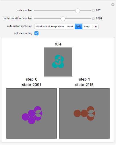 Condensed Cellular Automaton States Wolfram Demonstrations Project