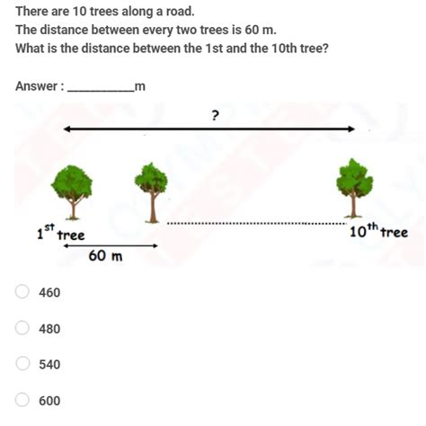 Sample Question Paper For Class 3 Imo For The Year 2023 24 Olympiad