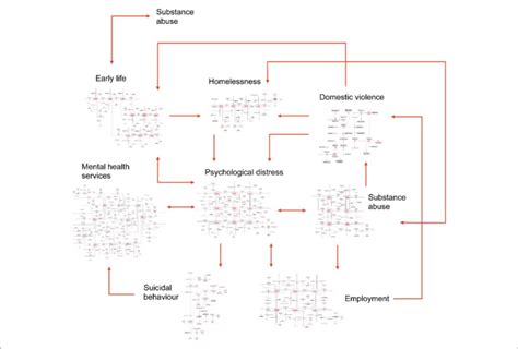 A High Level Overview Of The Causal Structure And Pathways Of One