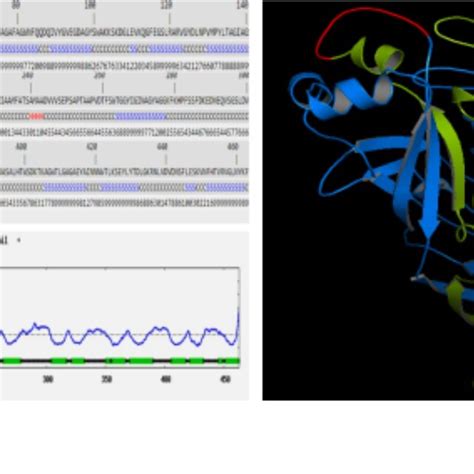 Predicted Secondary And 3d Structures Of Omp25omp31 A Secondary