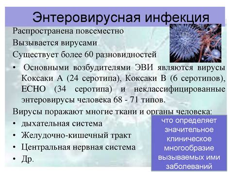 Энтеровирусная инфекция презентация онлайн