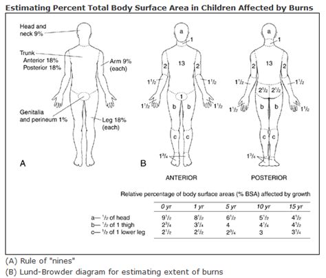 Pediatric Burns Pmandr Knowledgenow
