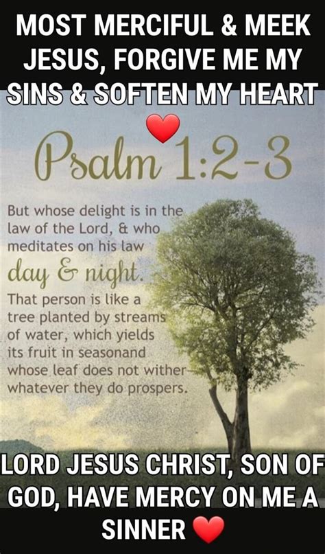 Most Merciful And Meek Jesus Forgive Me My Sins Soften My Heart 2 But Whose Delight Is In The