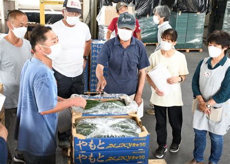 夏秋キュウリ規格確認JAいしのまきやもとハウス園芸組合JAいしのまき