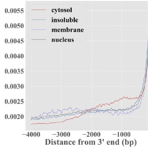 Schematic Representation Of RNA Trafficking Mechanisms And Outcomes In Download Scientific