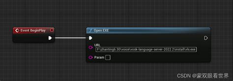 ue4、ue5凋用第三方pc程序 ue5拉起外部程序 csdn博客
