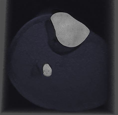 Inconsistent Plotting Results With Pyvistaqt Versus Jupyter Trame Backends · Issue 361