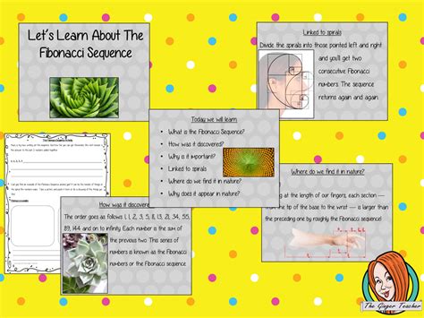 Fibonacci Sequence In Nature Project Kotihis