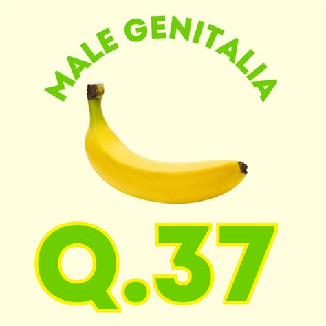 射精後もセックスを継続したいが、ペニスが擦れるような痛みがあり断念。原因と対策は？【専門医が回答！男性の体qanda㊱】 yoi（ヨイ） 心・体・性のウェルネスメディア