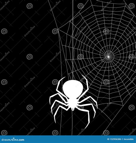 Spider Web Banner With Spiders And Bats Hanging Cobweb Background Vector Illustration