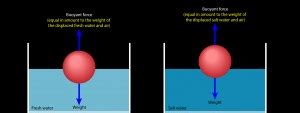 Why Do Things Float Better In Salt Water Than In Fresh Water How Everything Works