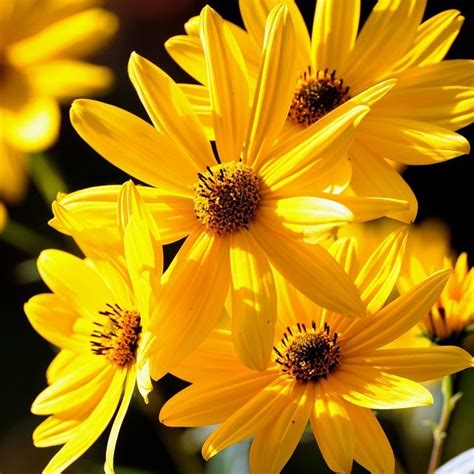 Sed Rate Levels Chart Tsmp Medical Blog