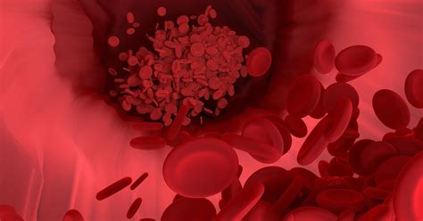 Perbedaan Eritrosit Dan Leukosit