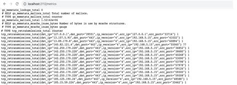 Getting Started With Ebpf Monitoring Tcp Retransmissions Using Ebpf Go And Prometheus