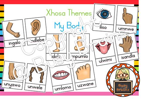 Xhosa Themes My Body Teacha
