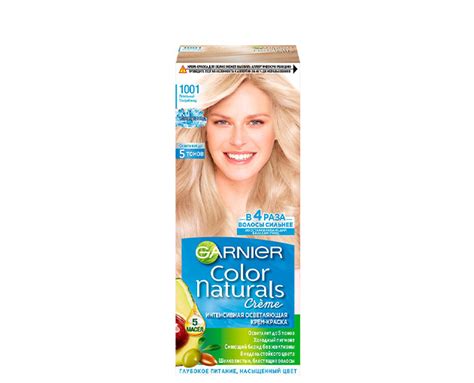 Canshop Ge Garnier Naturals თმის საღებავი N1001
