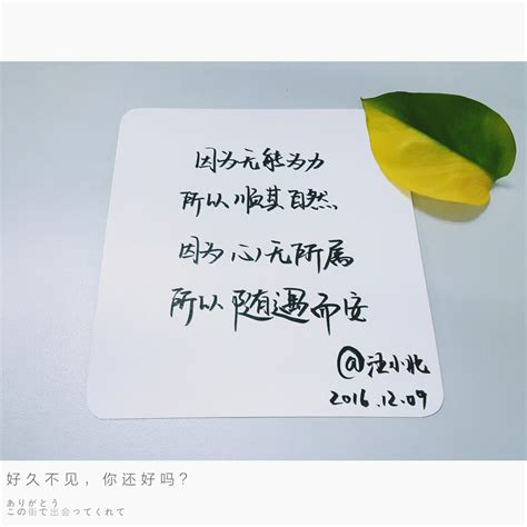 手写 高清图片，堆糖，美图壁纸兴趣社区