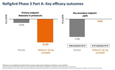 Iga肾病igan疗法！美国fda授予nefecon定点靶向释放布地奈德优先审查：具有疾病修正潜力 Fda信息专区 生物谷