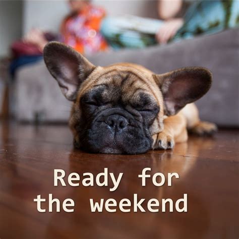 Ready For The Weekend Pictures Photos And Images For Facebook Tumblr