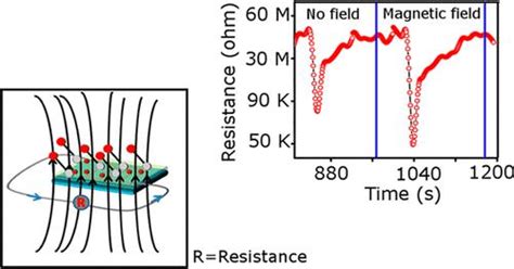 用于室温下 No 检测的铁磁性 Ni1 Xvxo1 Y 纳米团簇：磁场诱导的化学电阻传感案例 Acs Applied Materials And Interfaces X Mol