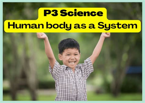 P3 Science Human Body As A System The Science Shifu