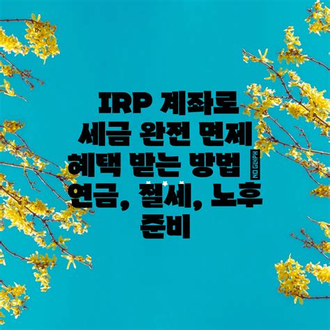 Irp 계좌로 세금 완전 면제 혜택 받는 방법 연금 절세 노후 준비