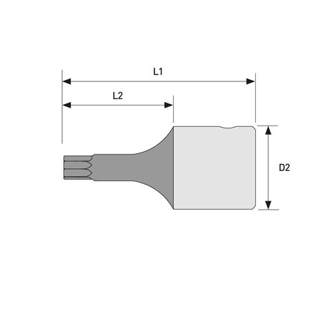 Torx Einsatz T25 | DTS GmbH | DTS Diamond Tooling Systems