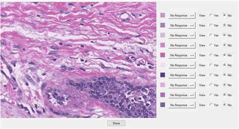Hande Histology Color Normalization Instructions Colorassign Manual Py Drexel University