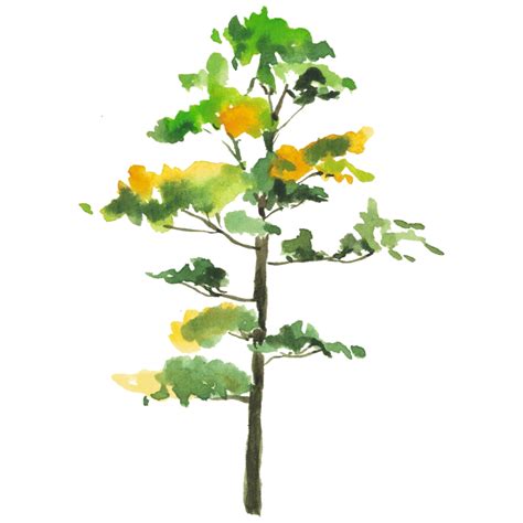 Trees Change Color In Autumn Season 28714058 PNG Trees Change Color In Autumn Season 28714058 PNG