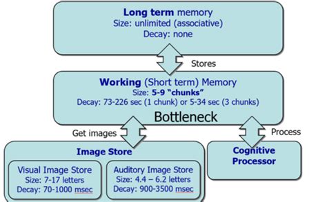Lesson Memory Attention Flashcards Quizlet