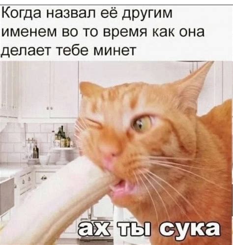 Пошлый и смешной юмор