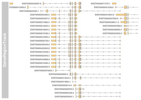 Read Gtf File Into R