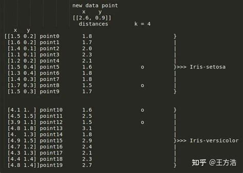 数据科学中使用的 种相似性和相异性度量 知乎