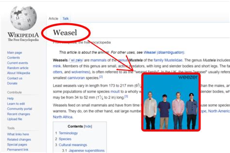 Weasel R Weezer