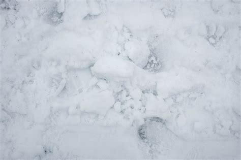A January Breakdown The Soiled Chamois