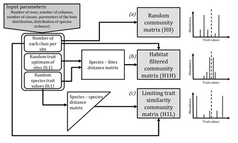 Procedure For The Generation Of Community Assembly Models A Matrix Of