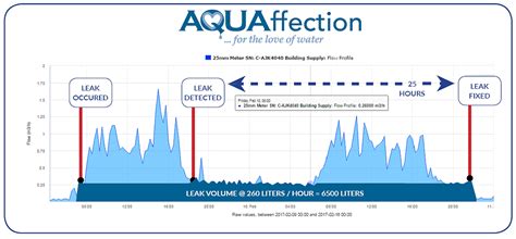 leak detection and management