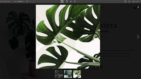 How To Create This Lightbox Effect General Forum Webflow