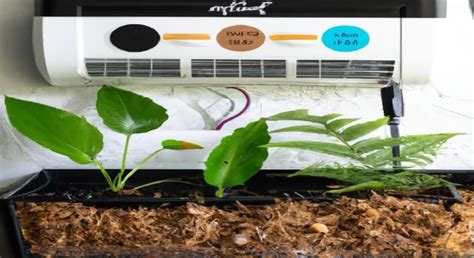 How To Hide A Mini Split Outside Mini Split Hiding Ideas