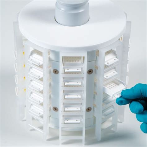 Synergy Milestone Medical