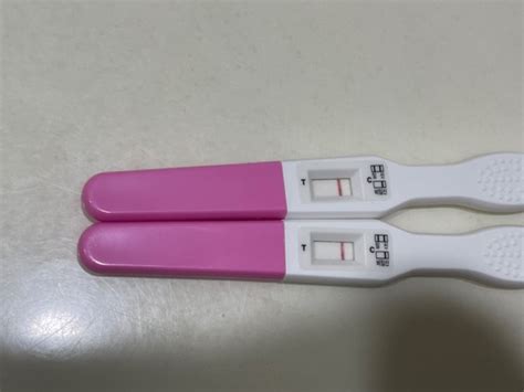 임테기 한줄 임신확률 있나요 지식in