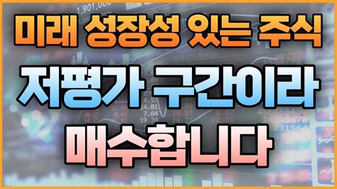 미래 성장성 있는 주식 저평가 구간이라 매수합니다 Youtube