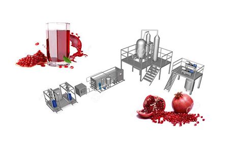 Pomegranate Juice Processing Technology A Delicious And Nutritious Journey