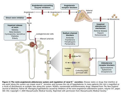 Thread By Edgarvlermamd Acute Hyperkalemia Webinar From