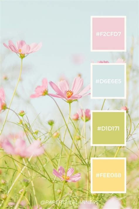 Soft Spring Colour Palette Color Schemes Color Spring Colors